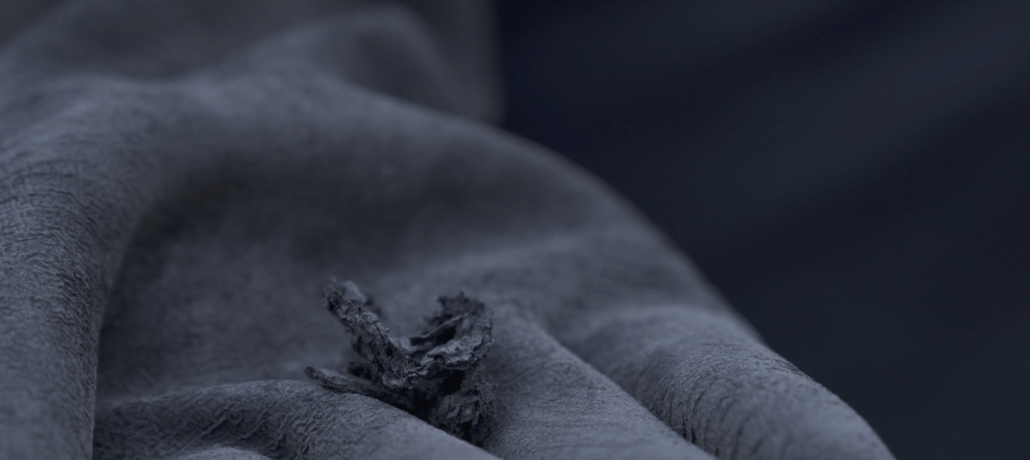 Mosan's Springer Scientific Publication - Mosan